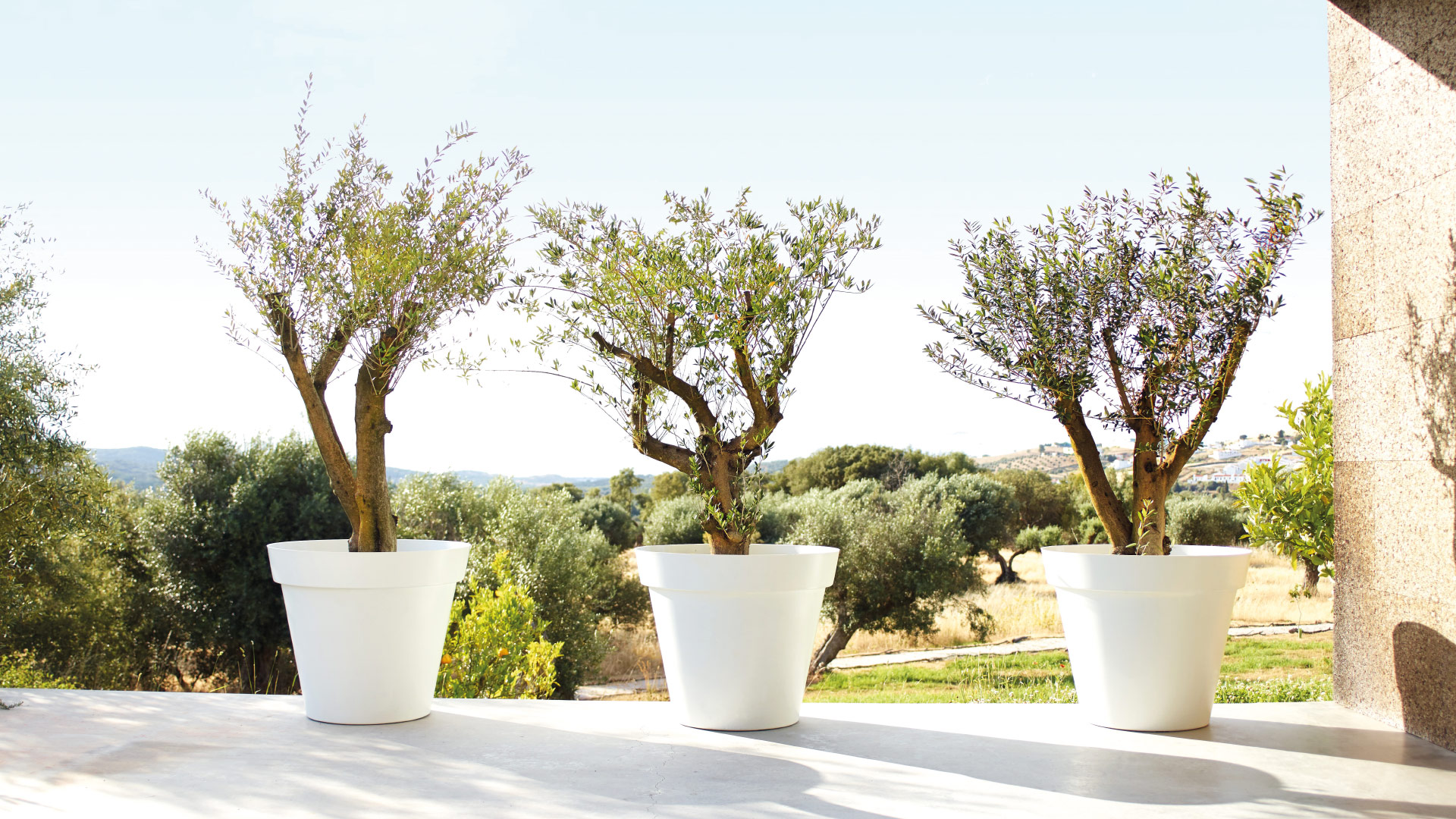 capri-pot – Mashtal Qatar