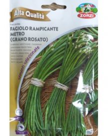 CLIMBING BEAN SEEDS – Mashtal Qatar